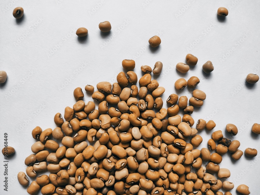 red cowpea isolated on white background. Vigna unguiculata is ...