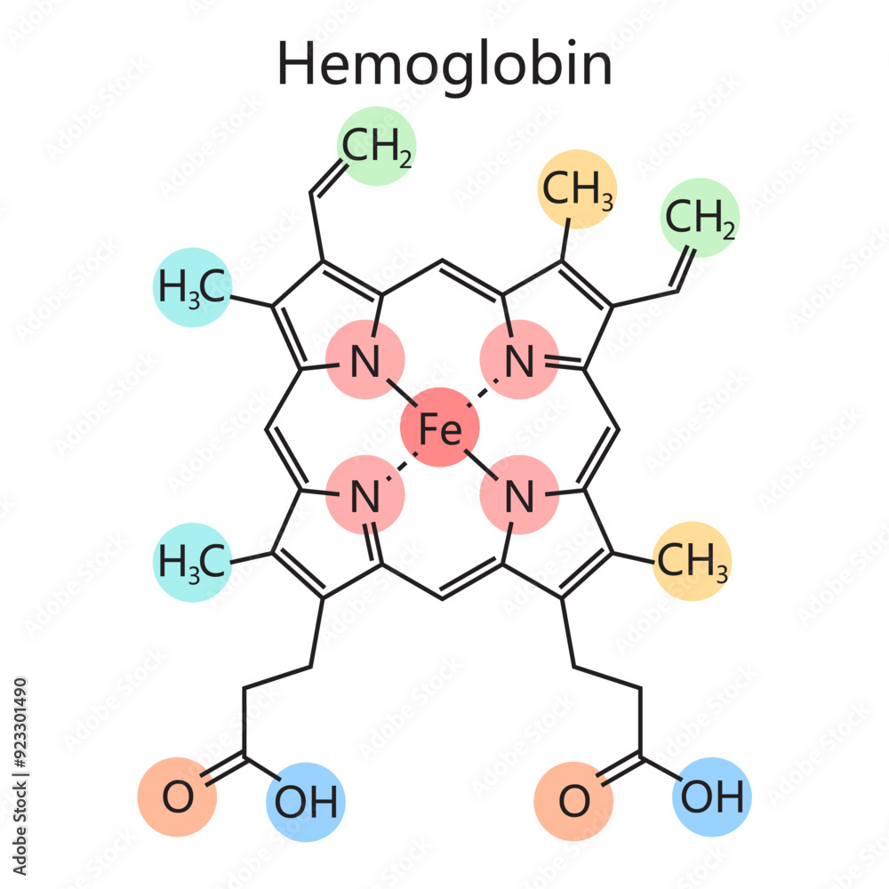 Vetor de Chemical molecular structure of hemoglobin, highlighting its ...