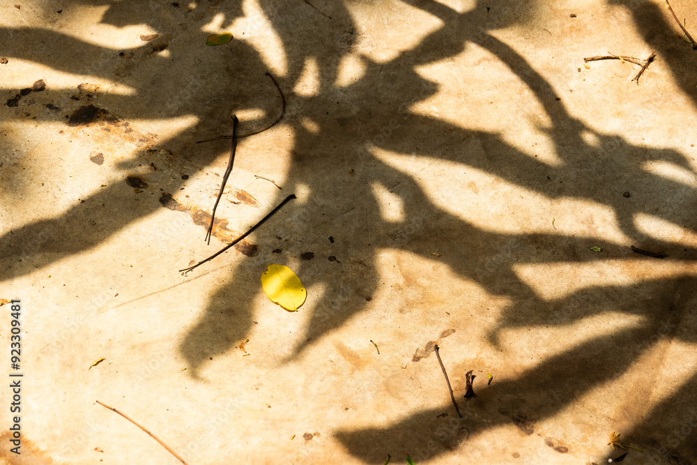 A leaf is laying on the ground, casting a shadow. The shadow is large ...