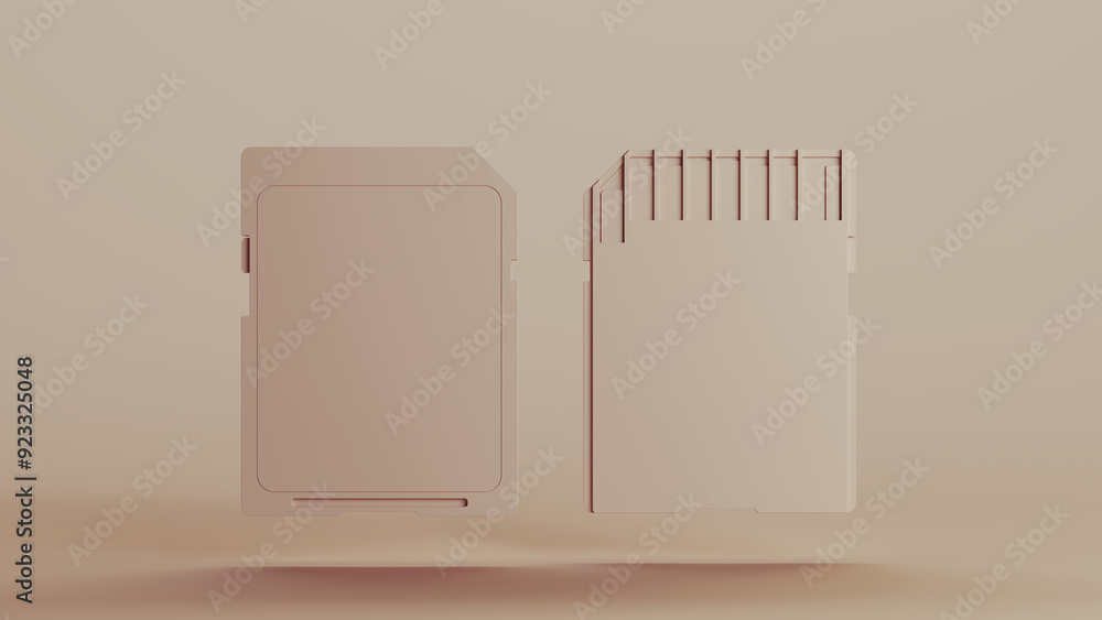 SD card beige neutral monochrome soft skin tones brown flash memory ...