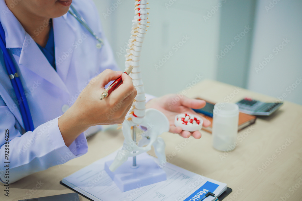 Orthopedist and surgeon using model or anatomical model of spine to ...