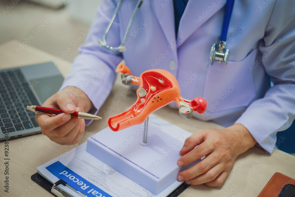 Urologists measure the size of the female genitalia using the Female ...