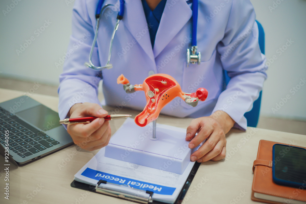 Urologists measure the size of the female genitalia using the Female ...