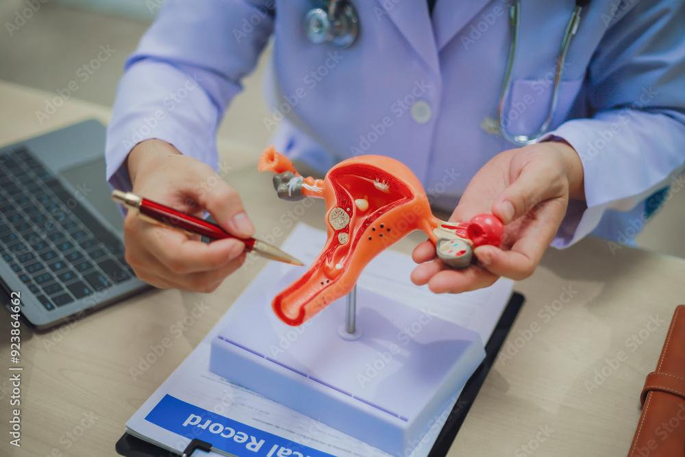 Urologists measure the size of the female genitalia using the Female ...