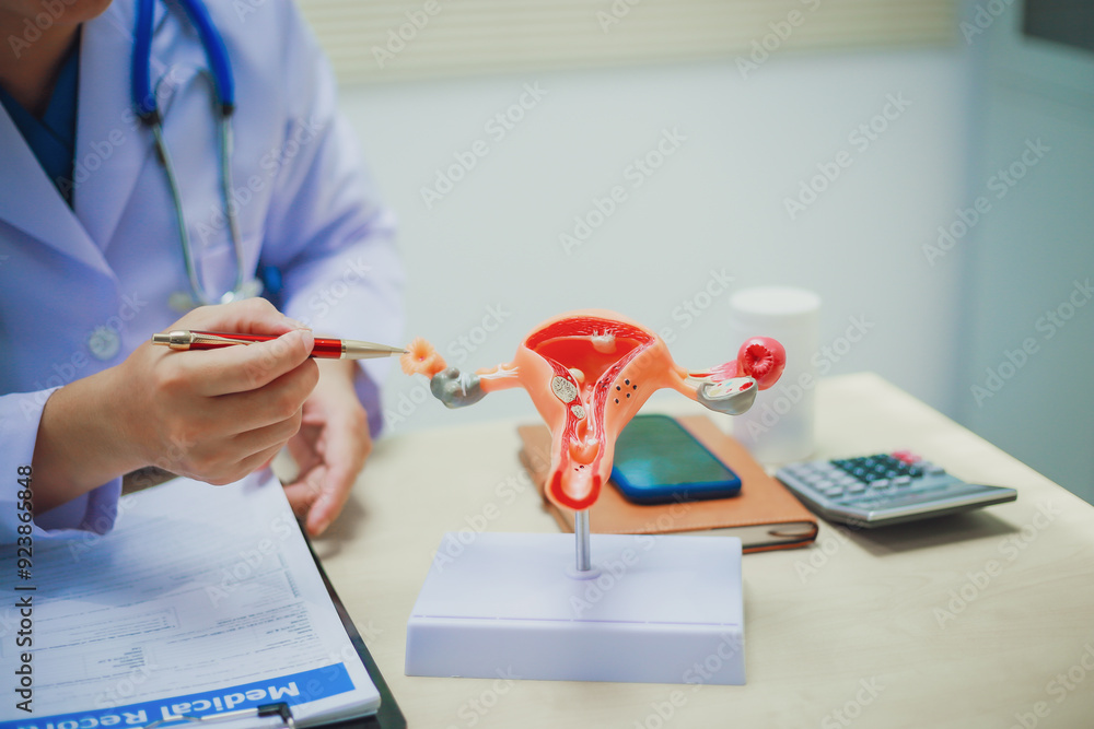 Foto de Urologists measure the size of the female genitalia using the ...