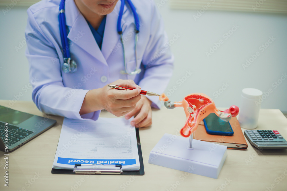 Urologists measure the size of the female genitalia using the Female ...