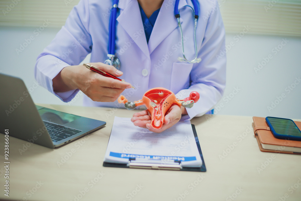 Urologists measure the size of the female genitalia using the Female ...