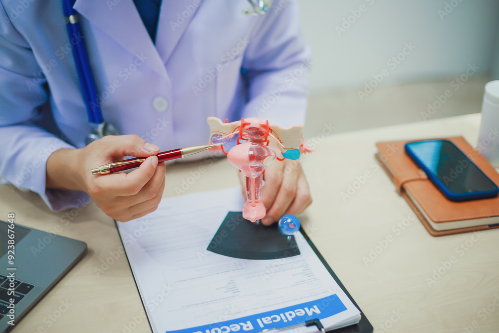 Urologists measure the size of the female genitalia using the Female ...