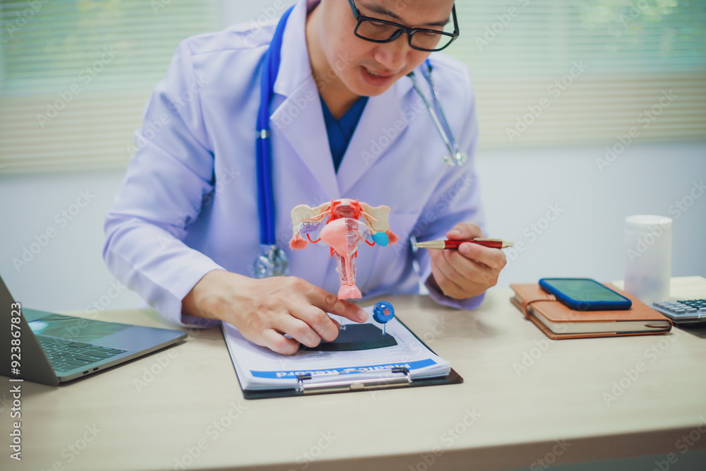 Urologists measure the size of the female genitalia using the Female ...