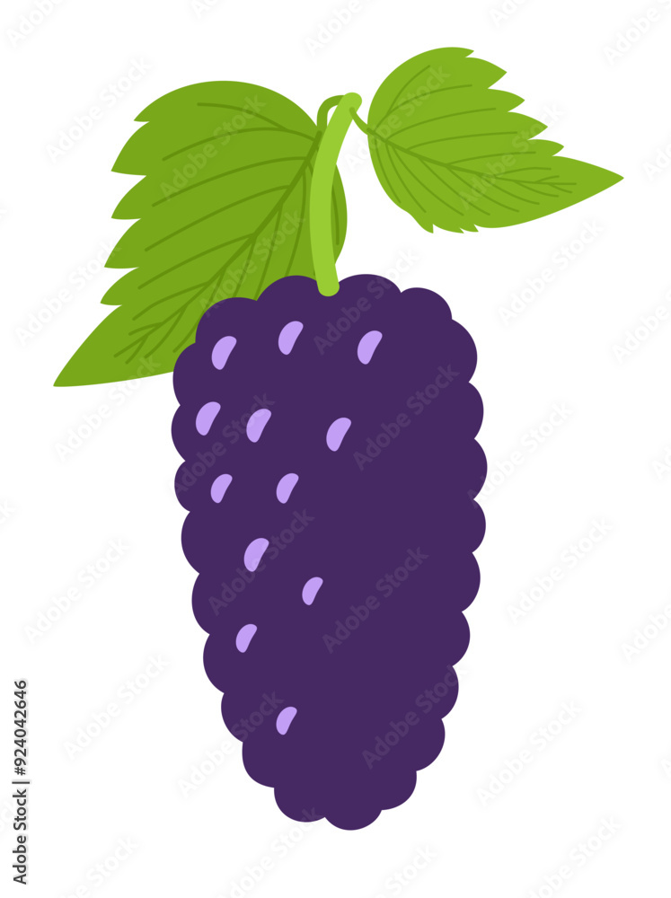Mulberry. Berry and leaves of a mulberry tree. Vector illustration in ...