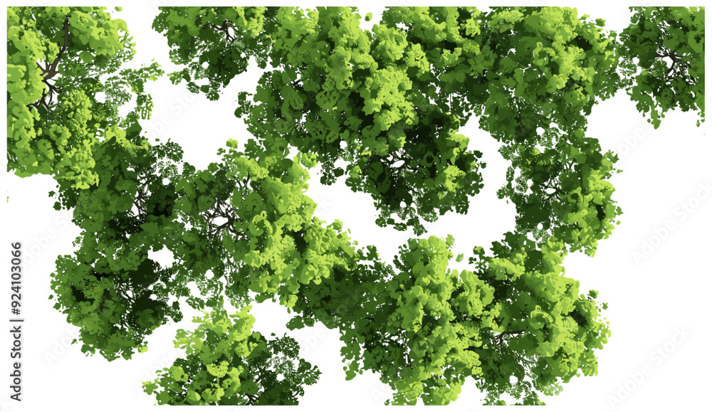 Green canopy trees aerial view landscape illustration vector, top view ...