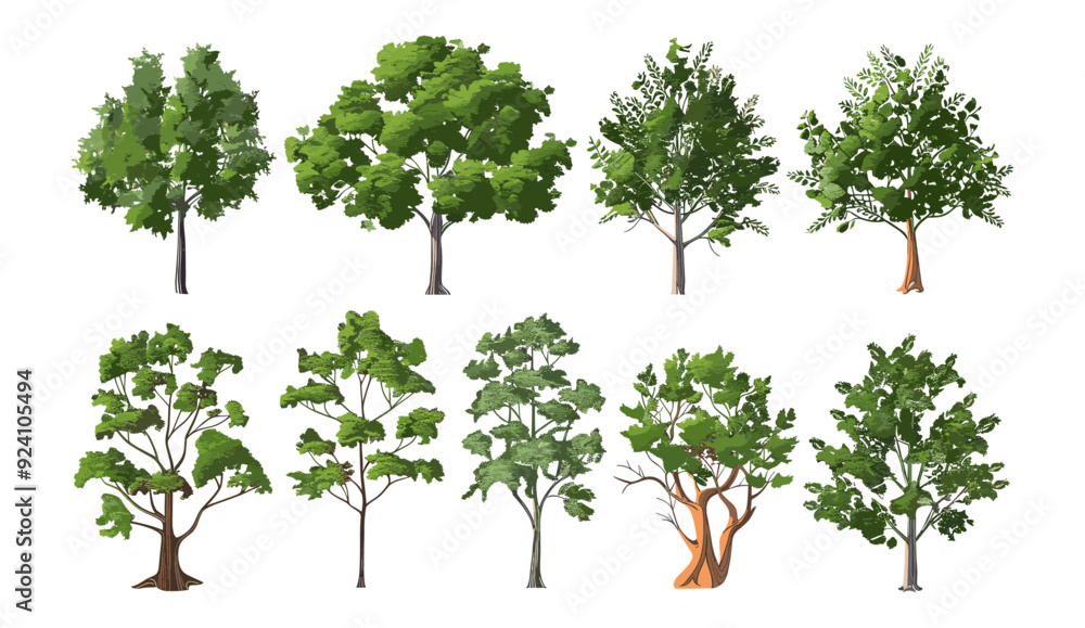 Ecology trees woods set collections vector illustration, Trees form ...