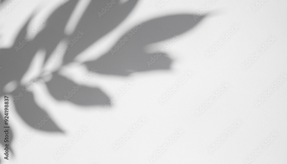 Leaf shadow and light on wall background. Nature tropical leaves tree ...