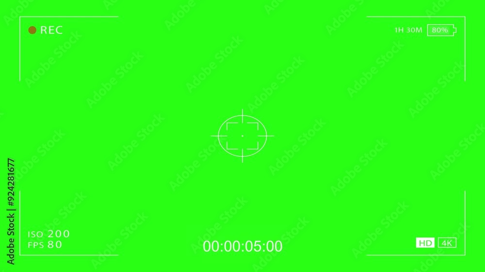 Video Recording frame layout viewfinder, mirrorless cam viewfinder ...