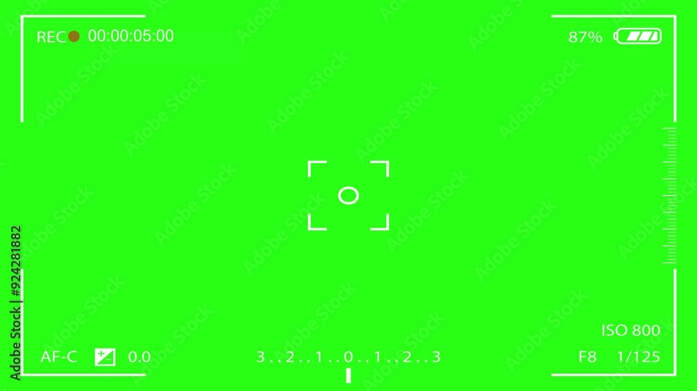 Video Recording frame layout viewfinder, mirrorless cam viewfinder ...