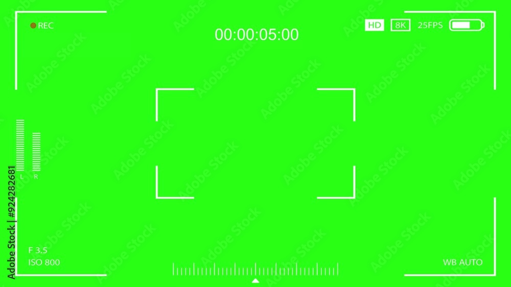 Video Recording frame layout viewfinder, mirrorless cam viewfinder ...