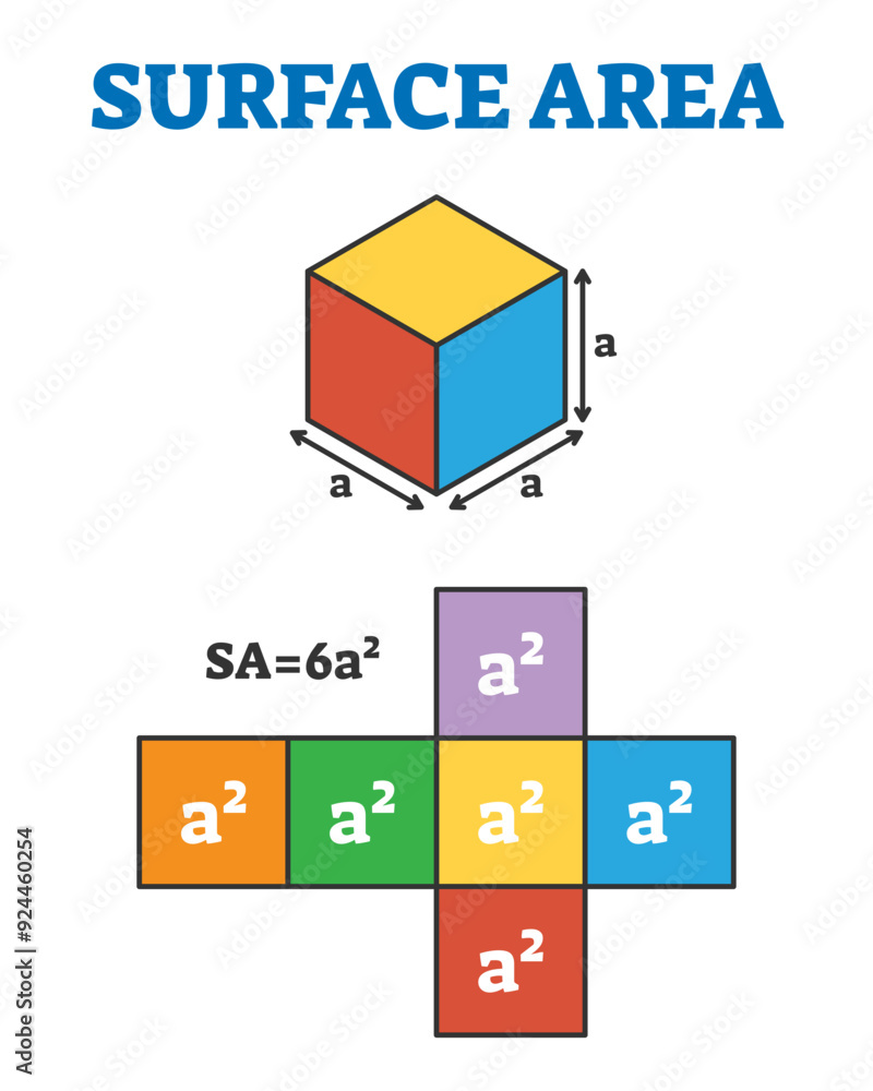 Surface area measurement example, flat illustration diagram ...