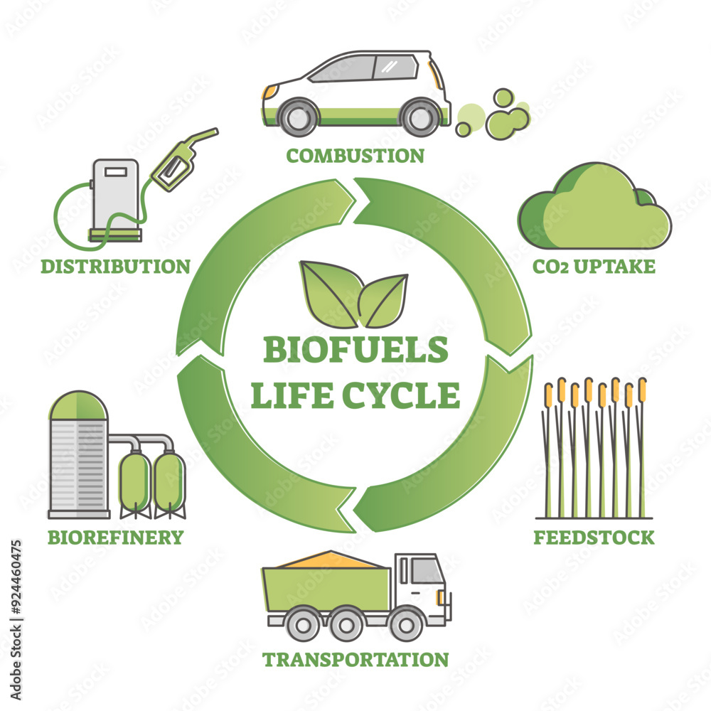 Biofuel life cycle diagram with production and consumption explanation ...