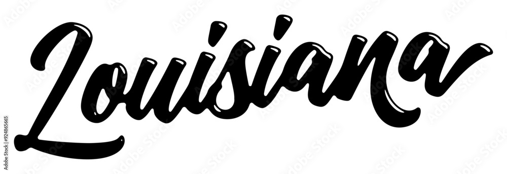Louisiana state name written in street art-style liquid brush script ...