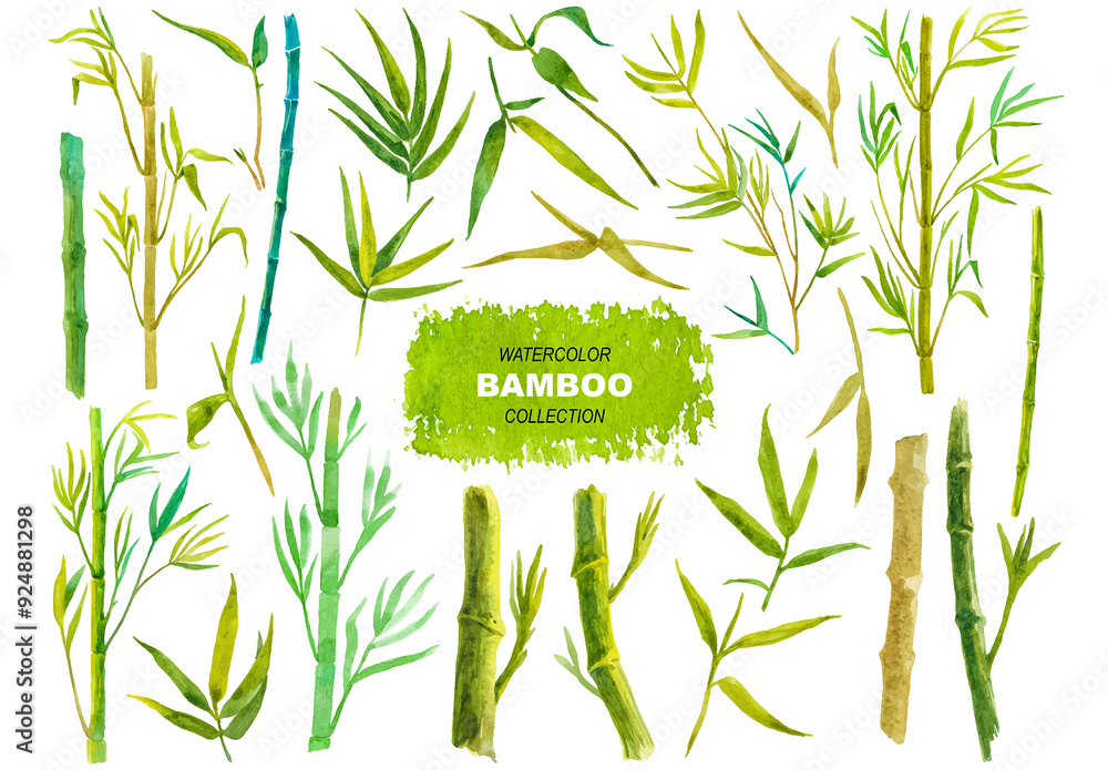 Vector watercolor painted bamboo clipart. Hand drawn design elements ...