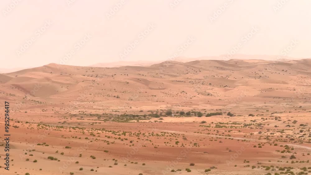 Sunlit desert with small bushes scattered across shifting sands Sand ...