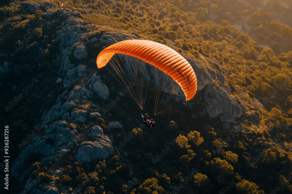 Paragliding on the forest with tiny bush, Aerial view paraglider with ...