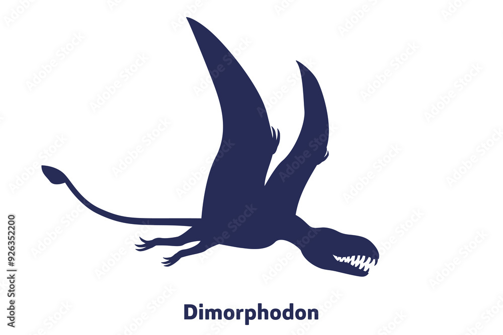 Poster Dimorphodon, flying dinosaur, pterosaur on white, vector – Wall ...