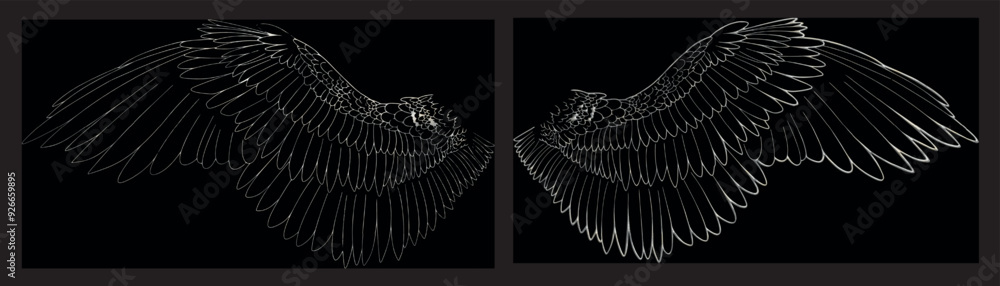 Set Png Linear outline drawing angel wings gold silver 3D contour hand ...