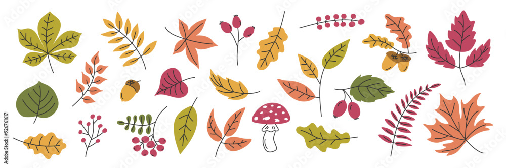 Cute Autumn leaf berry Collection. Falling forest leaves acorn berries ...