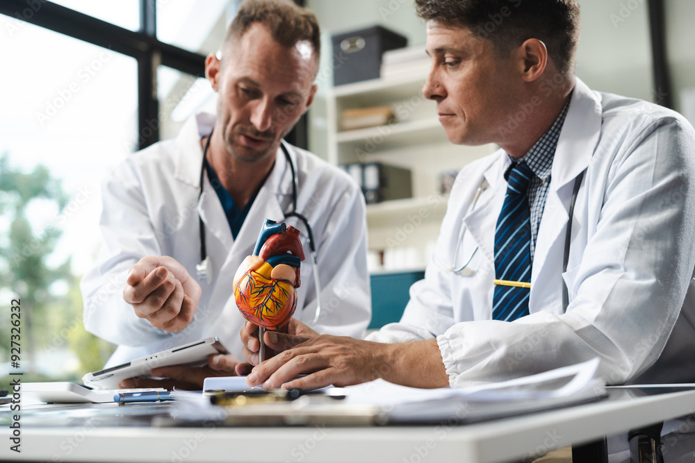 Doctor team shows a model of how the heart system works, doctors ...