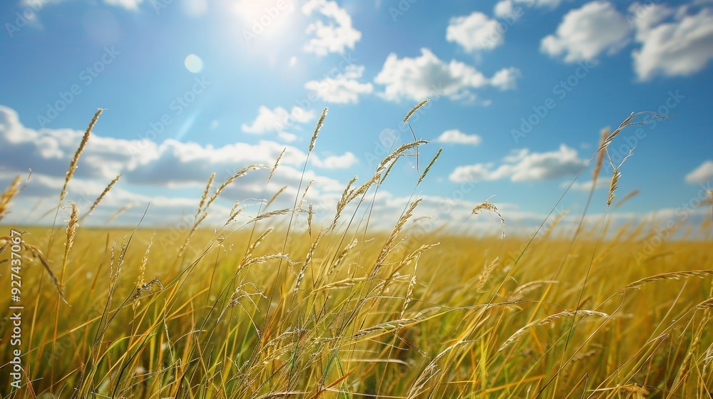 Explore the impact of climate change on grasslands. How are rising ...