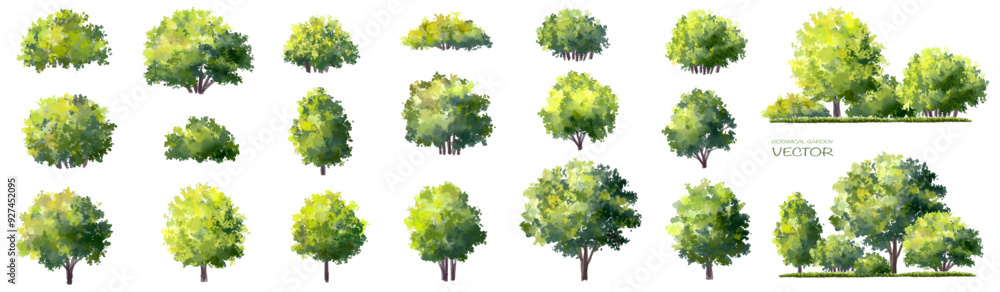 Vector watercolor green tree or forest side view isolated on white ...
