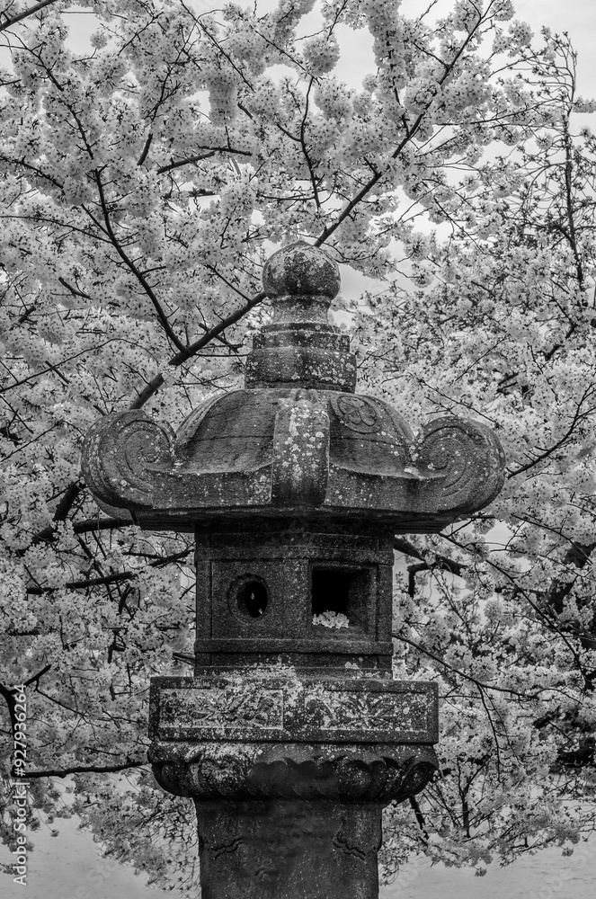 Washington DC – US – Mar 22, 2024 Black and white of the Japanese ...
