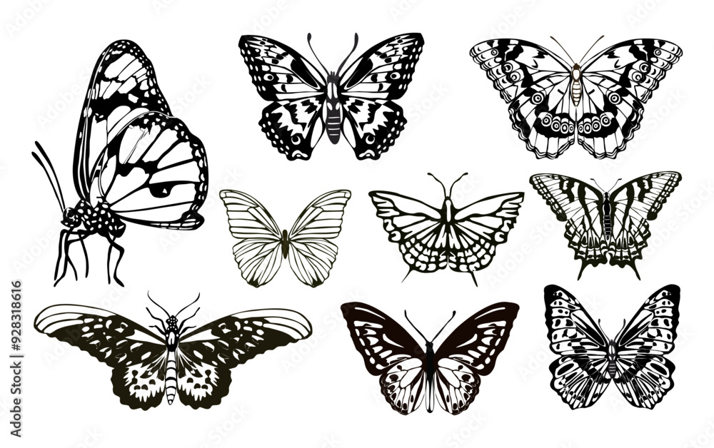 Silhouettes of butterflies set. Black drawing of different butterflies ...