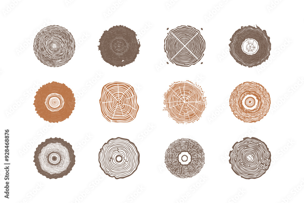 Forest tree rings, natural sawn and trunk cross section. Wooden circle ...