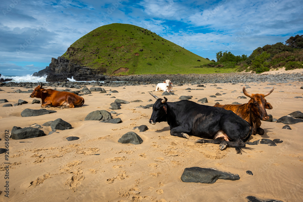 Transkei in the Eastern Cape of South Africa, you see Xhosa beach ...