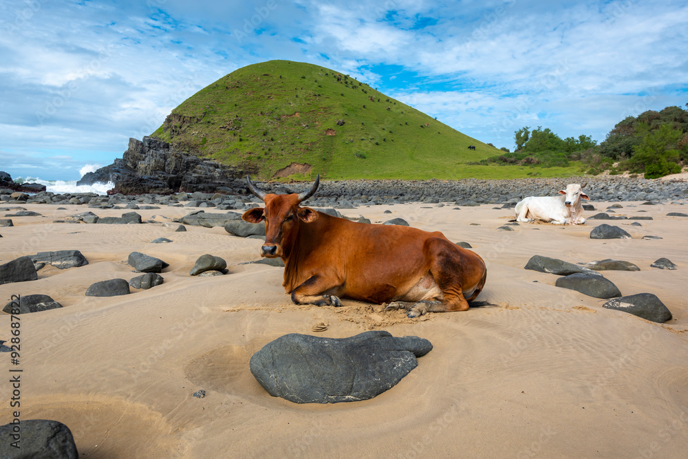 Transkei in the Eastern Cape of South Africa, you see Xhosa beach ...