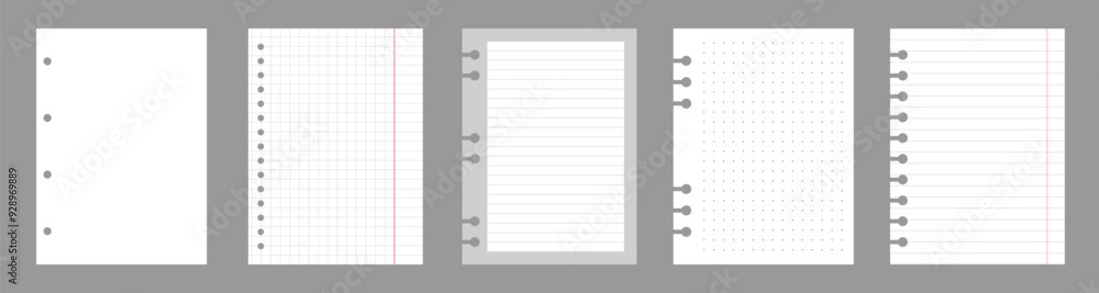 Set of notebook sheets isolated on gray background. Realistic white blanks of checkered, lined ...