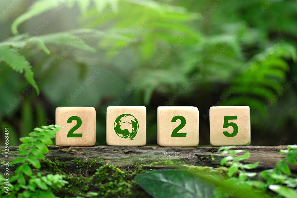 2025 New Year concept. Wooden cube with the word 2025 and green world ...
