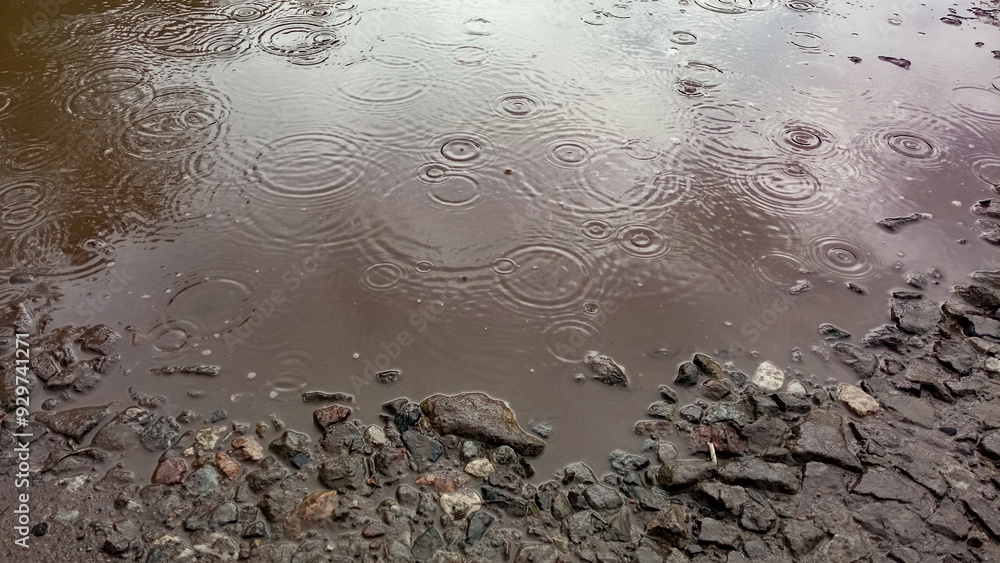 Circles on the water. Circles in a puddle from raindrops. Raindrops are ...