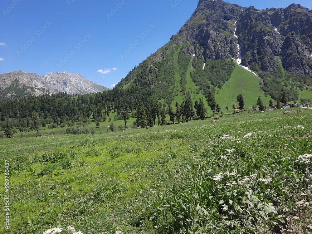 Majestic natural beauty of Gilgit-Baltistan in Pakistan. Gilgit ...