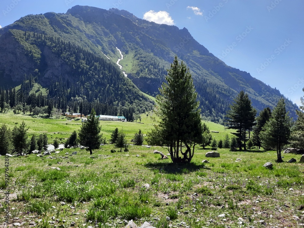 Majestic natural beauty of Gilgit-Baltistan in Pakistan. Gilgit ...