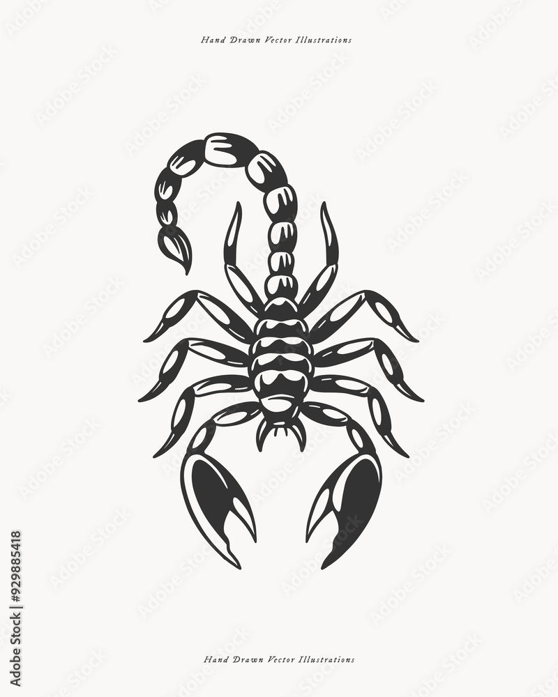 A detailed hand-drawn illustration of a scorpion with raised pincers ...