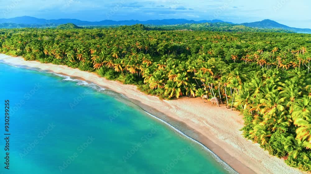 Empty wild beach with palms and fine sand. Blue sea near beautiful ...