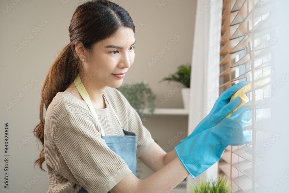 Housekeeper doing chores concept, Close-Up view of housemaid cleaning ...