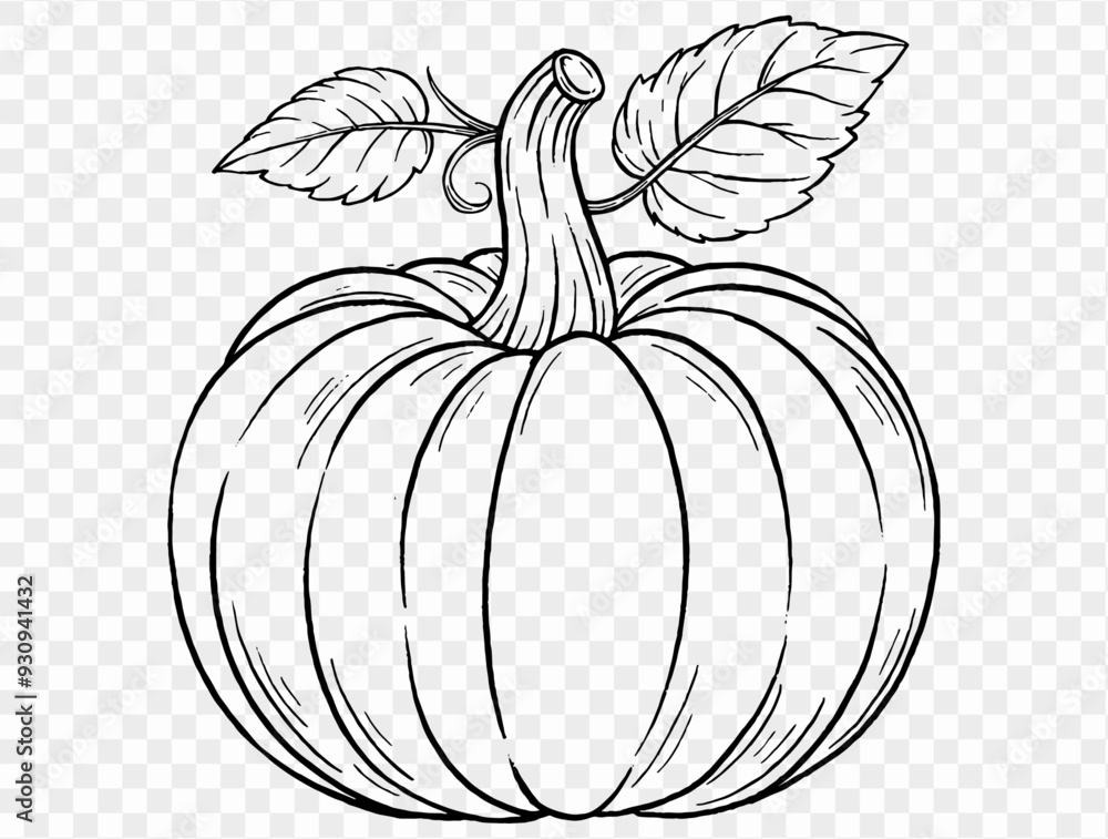 Outline pumpkin hand draw with brush style isolated on png or ...