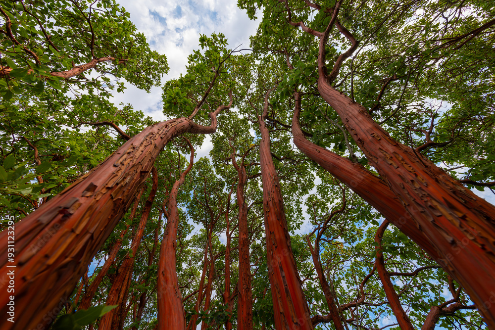 animal, aquaculture, background, balik, balikci, beautiful, black sea ...