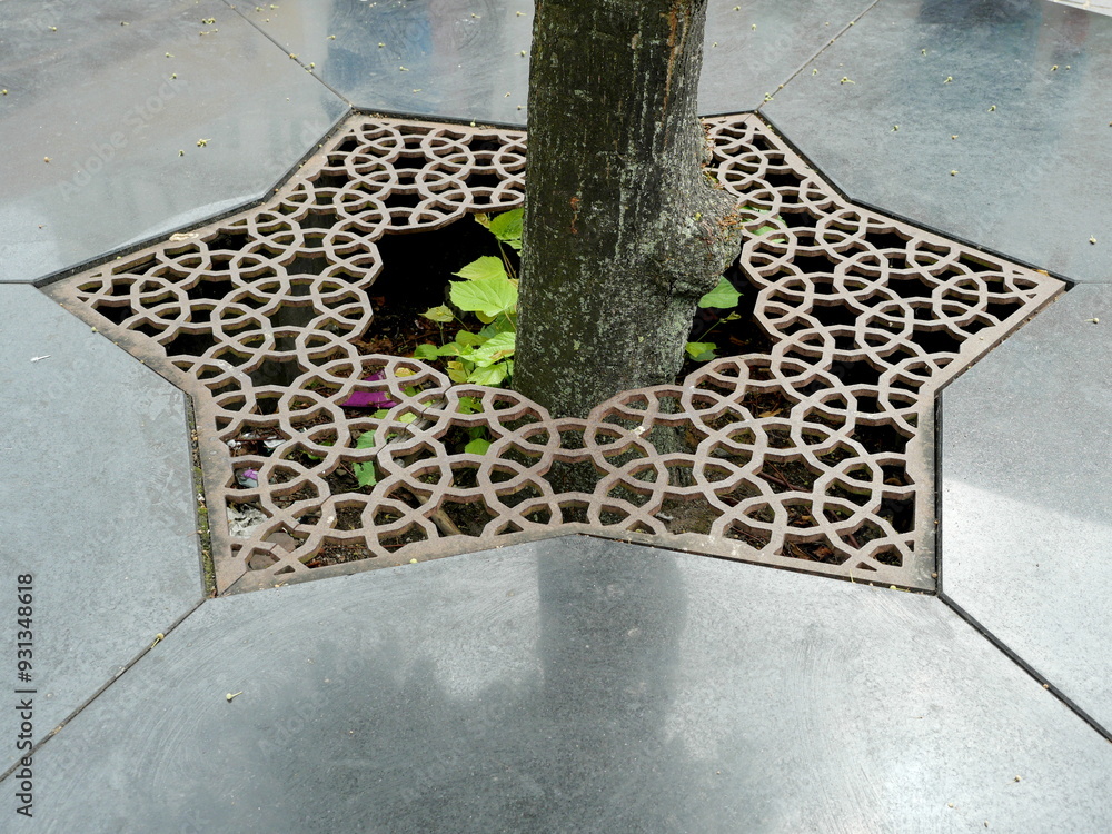 Decorative metal tree grate protects urban tree roots in sealed ...