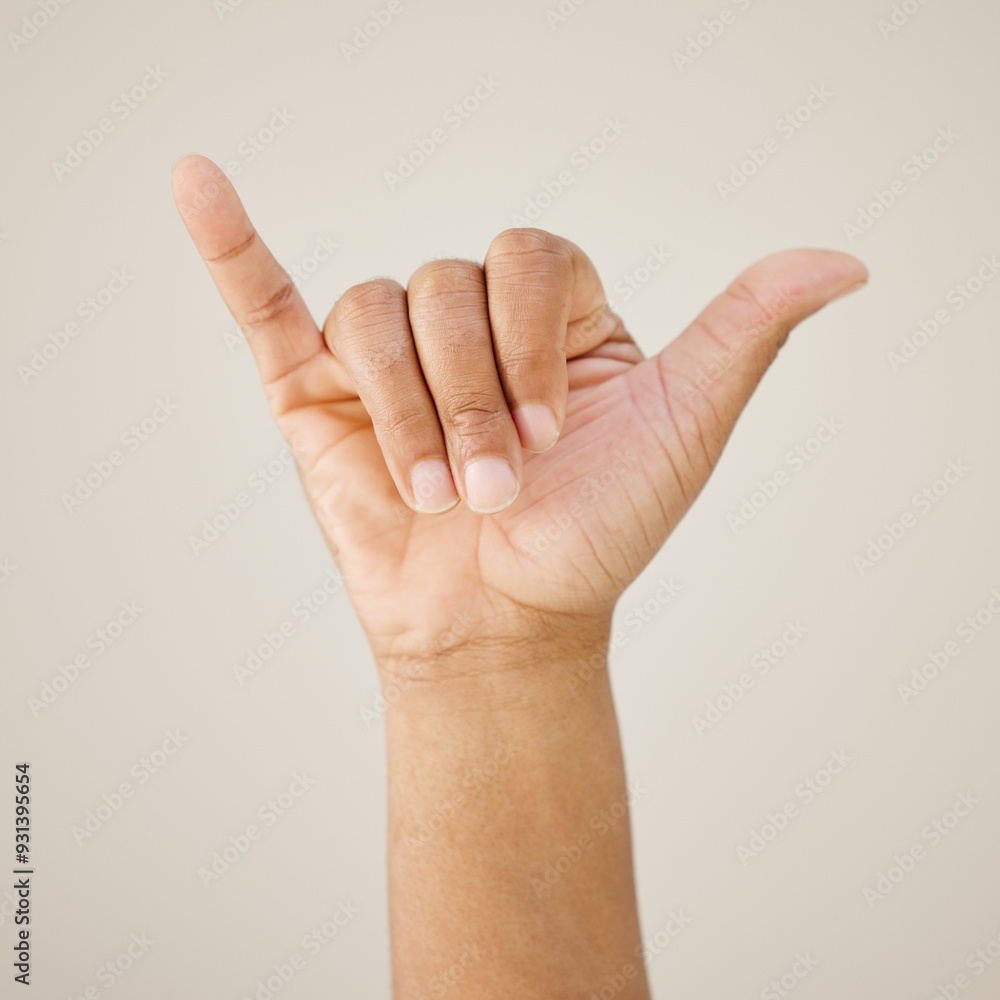 Person, hand gesture and sign language in studio background, shaka icon ...