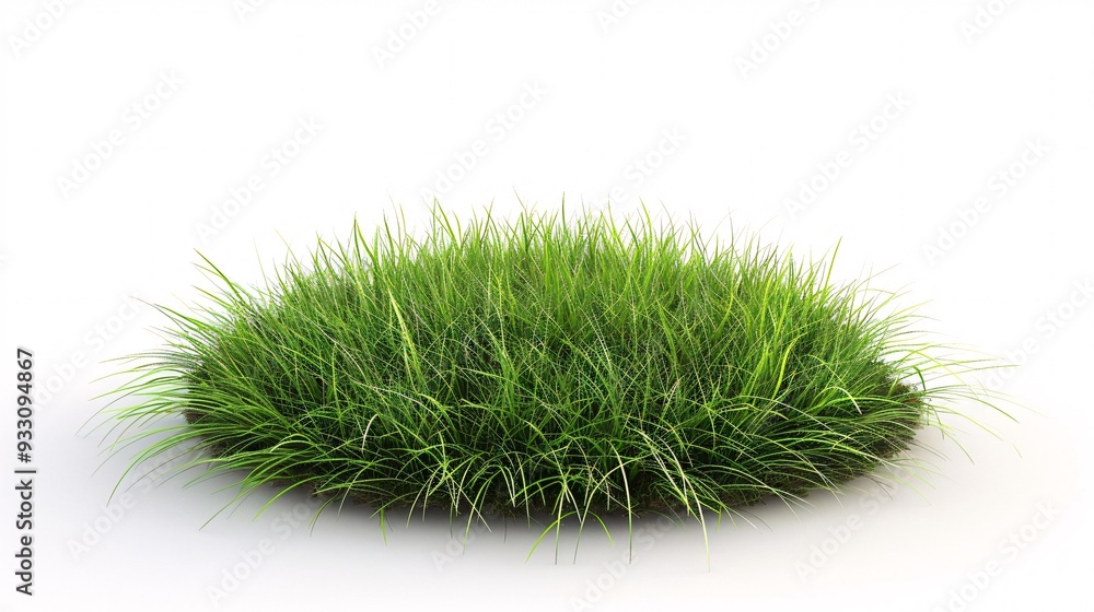 3. Circular grass patch with soil base, vibrant green short grass ...